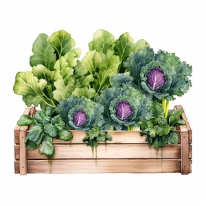 Growing Vegetables in Winter – A Deep Dive into Cold-Weather Gardening